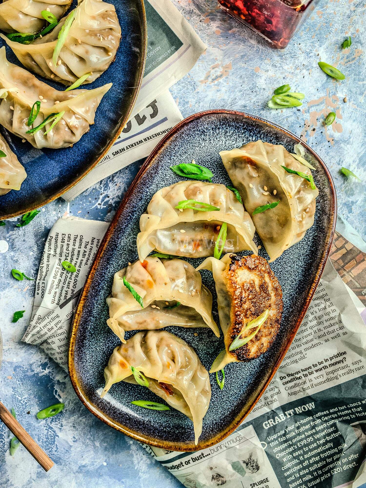 Vegetable Gyoza Potstickers, Japanese Vegan Dumplings