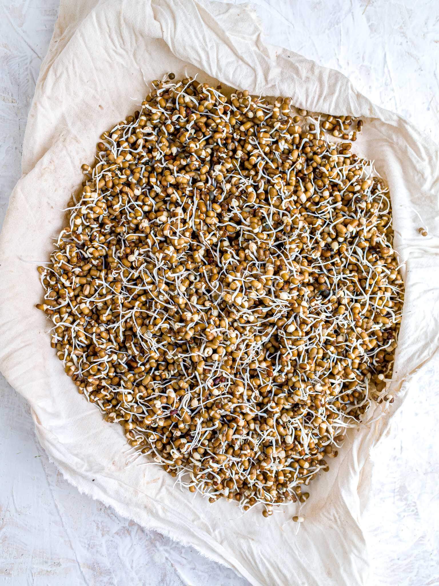 Matki Usal, Maharashtrian Sprouted Moth Curry