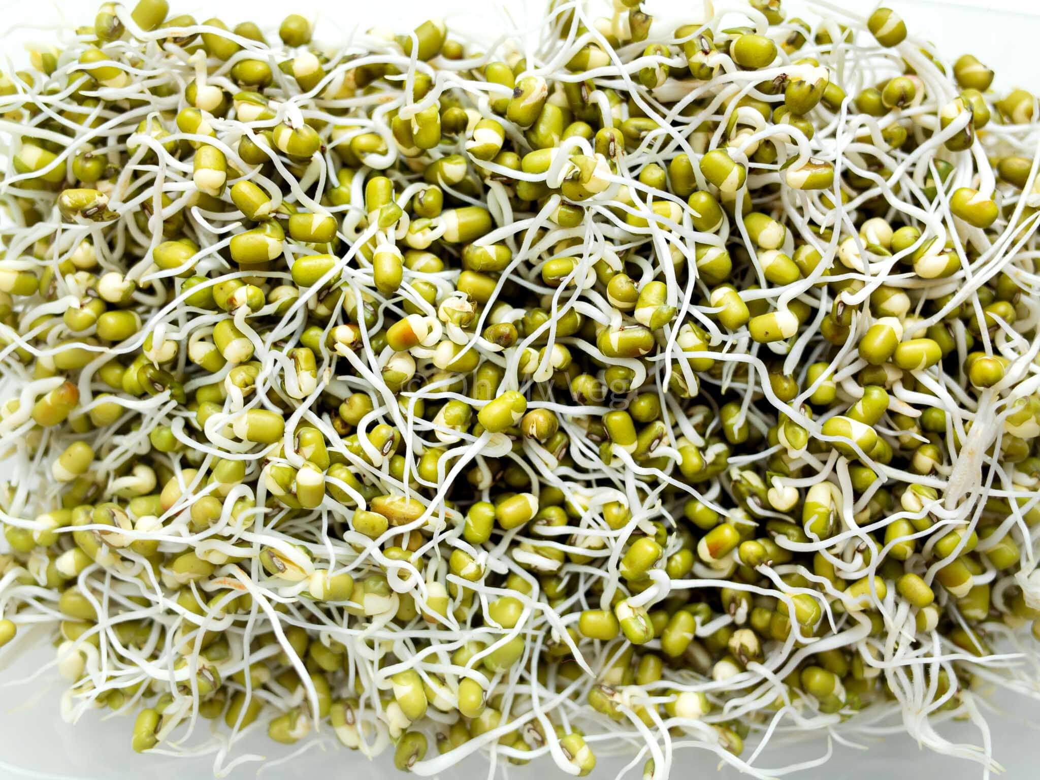 Sprouts Chaat (Sprouted Moong Dal Chaat)